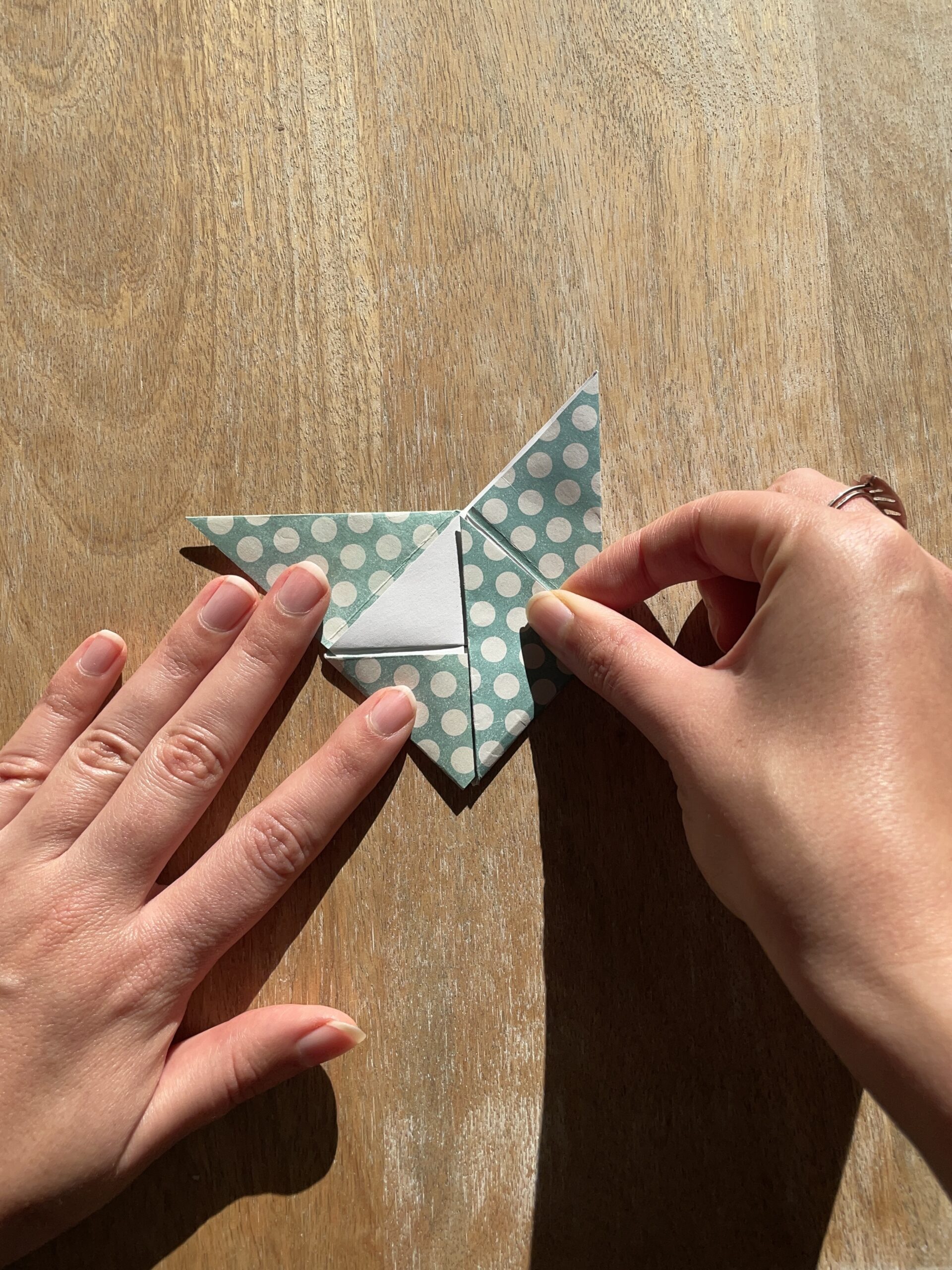 Fabriquer des sachets de graines : pliage origami n°2 – Troque Ta ...