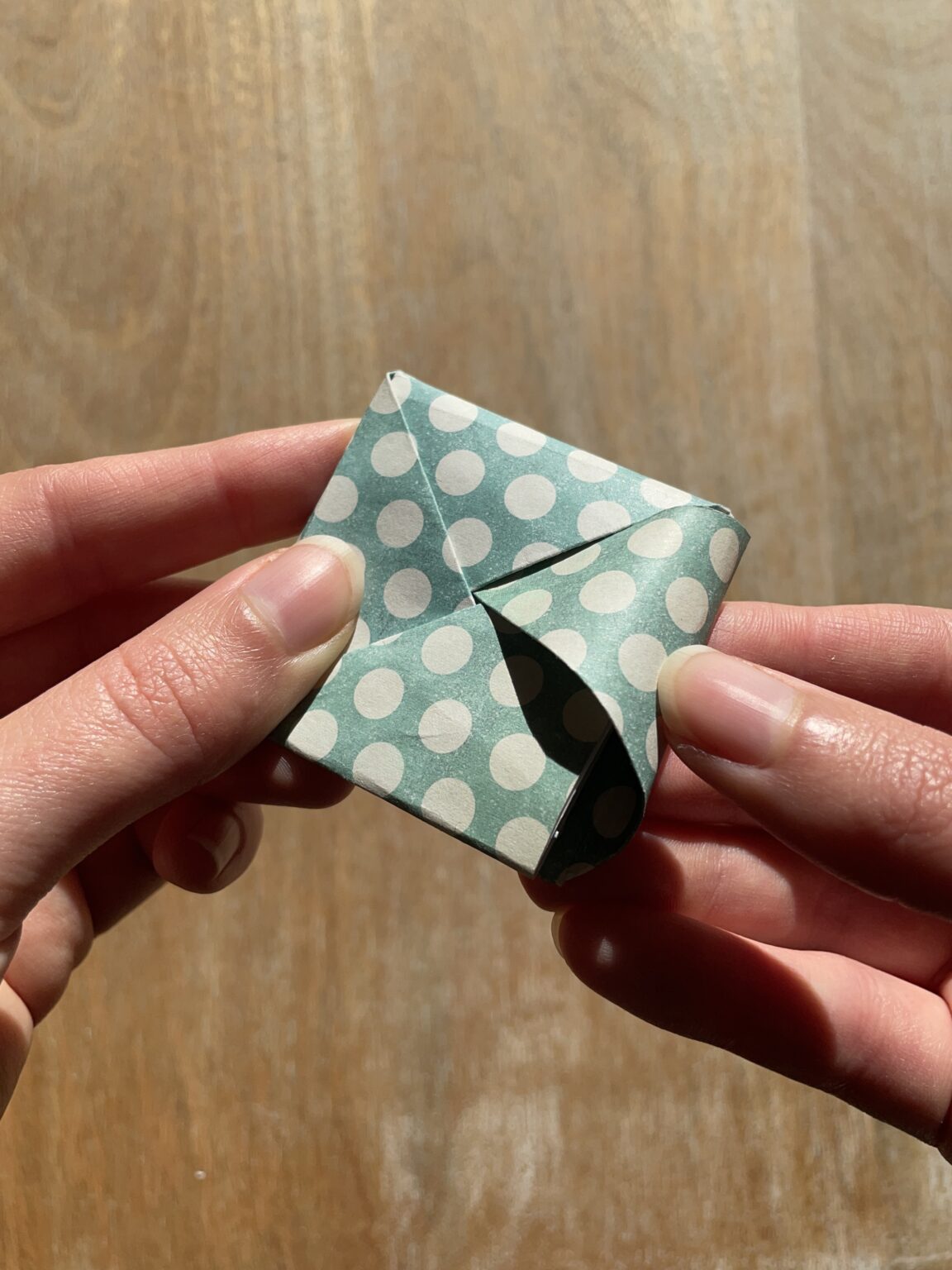 Fabriquer des sachets de graines : pliage origami n°2 – Troque Ta ...