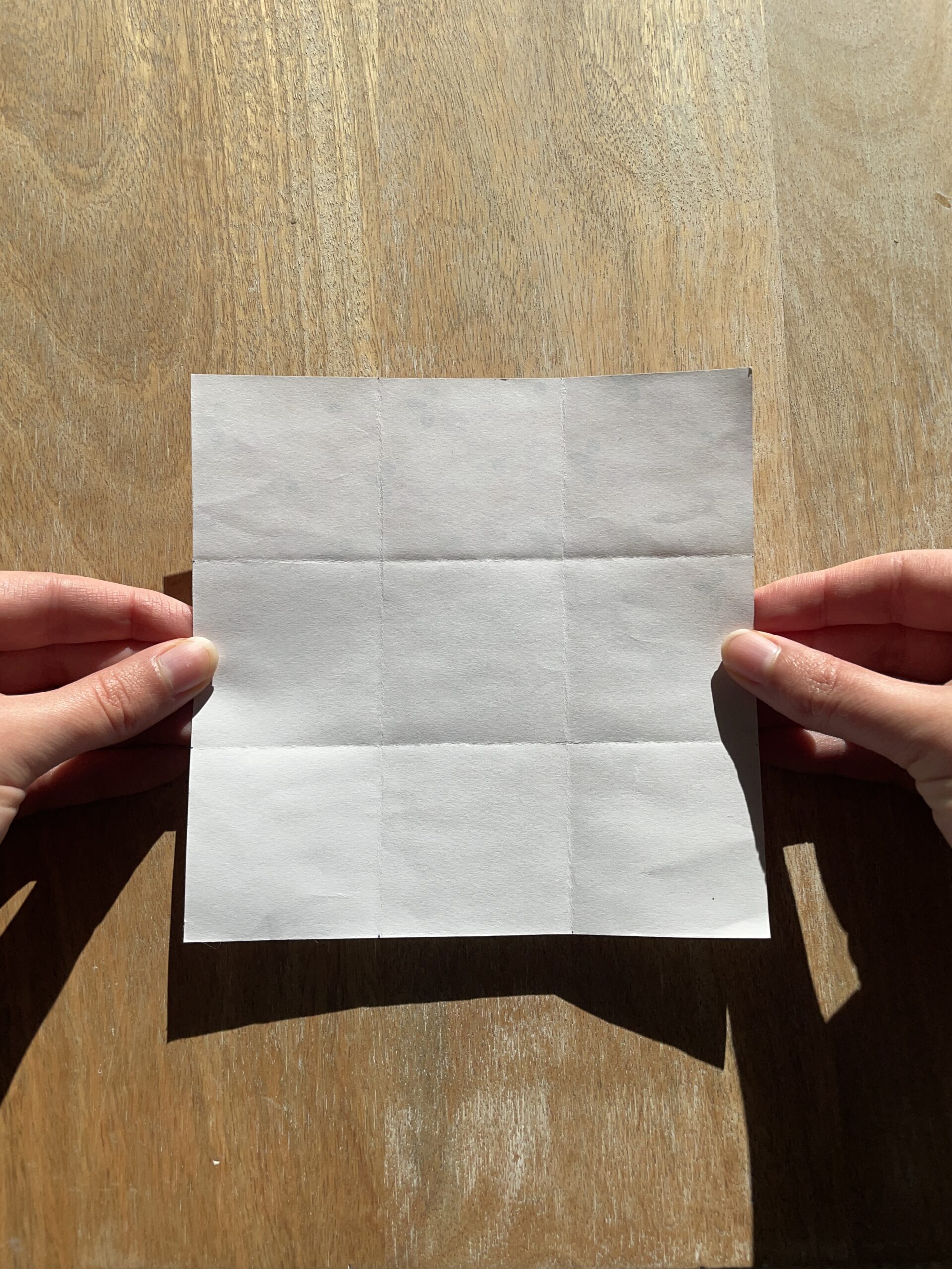Fabriquer des sachets de graines : pliage origami n°2 – Troque Ta ...