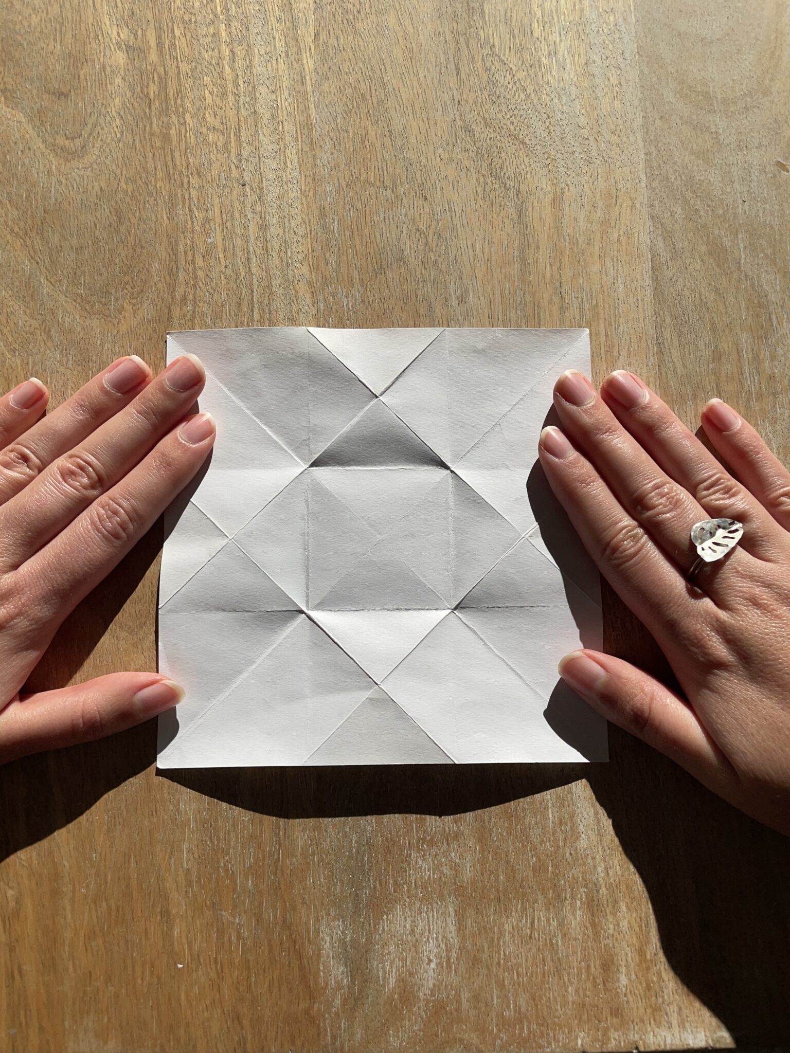 Fabriquer des sachets de graines : pliage origami n°2 – Troque Ta ...
