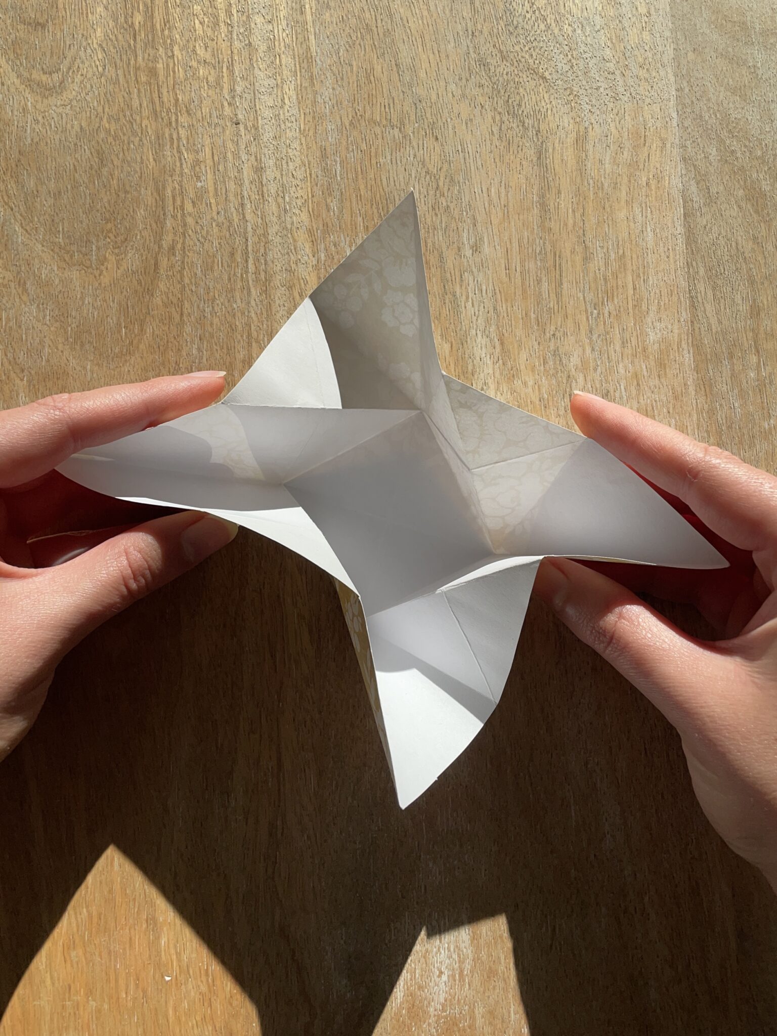Fabriquer des sachets de graines : pliage origami n°2 – Troque Ta ...