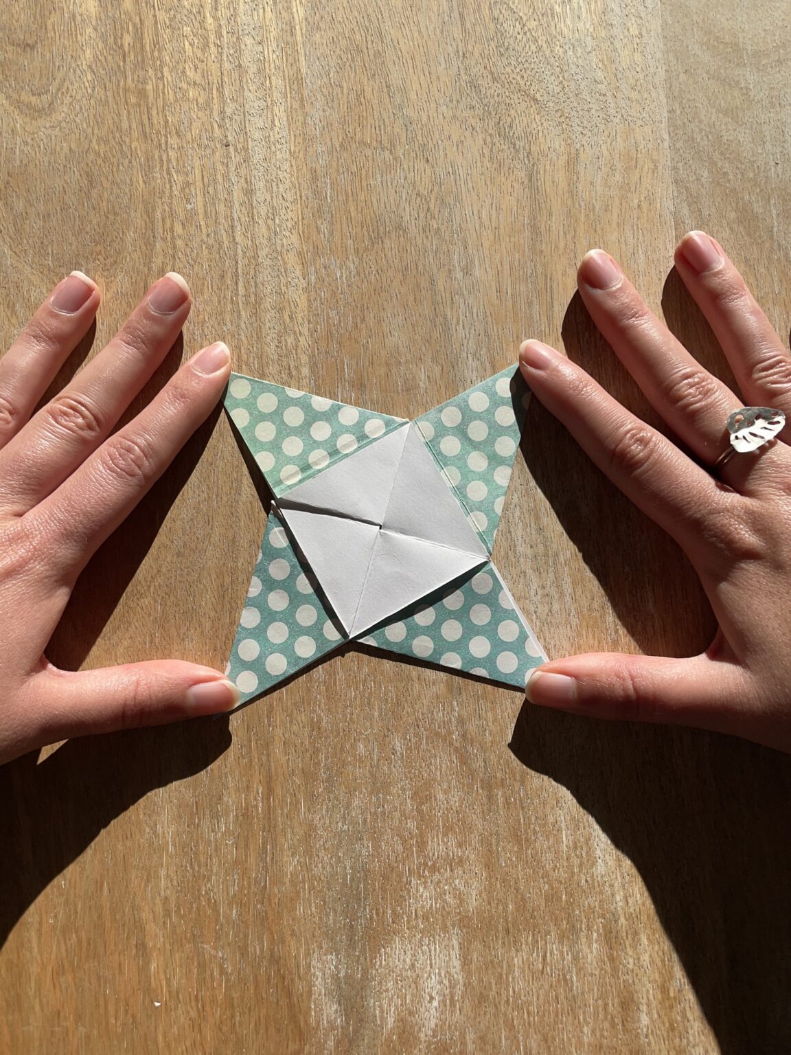 Fabriquer des sachets de graines : pliage origami n°2 – Troque Ta ...