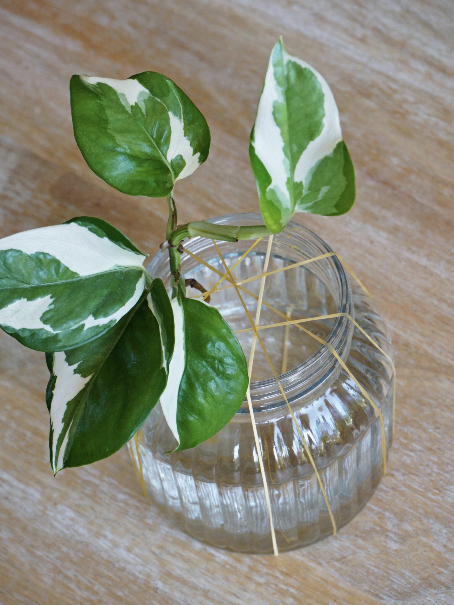 DIY – Créer une bobèche 100% récup’ – Troque Ta Plante – Le Blog