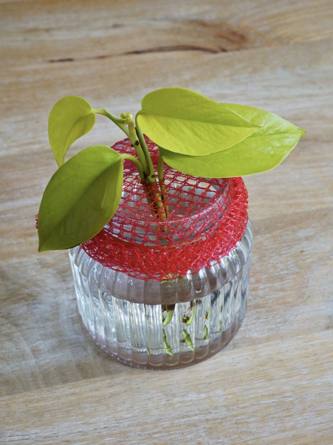 DIY – Créer une bobèche 100% récup’ – Troque Ta Plante – Le Blog