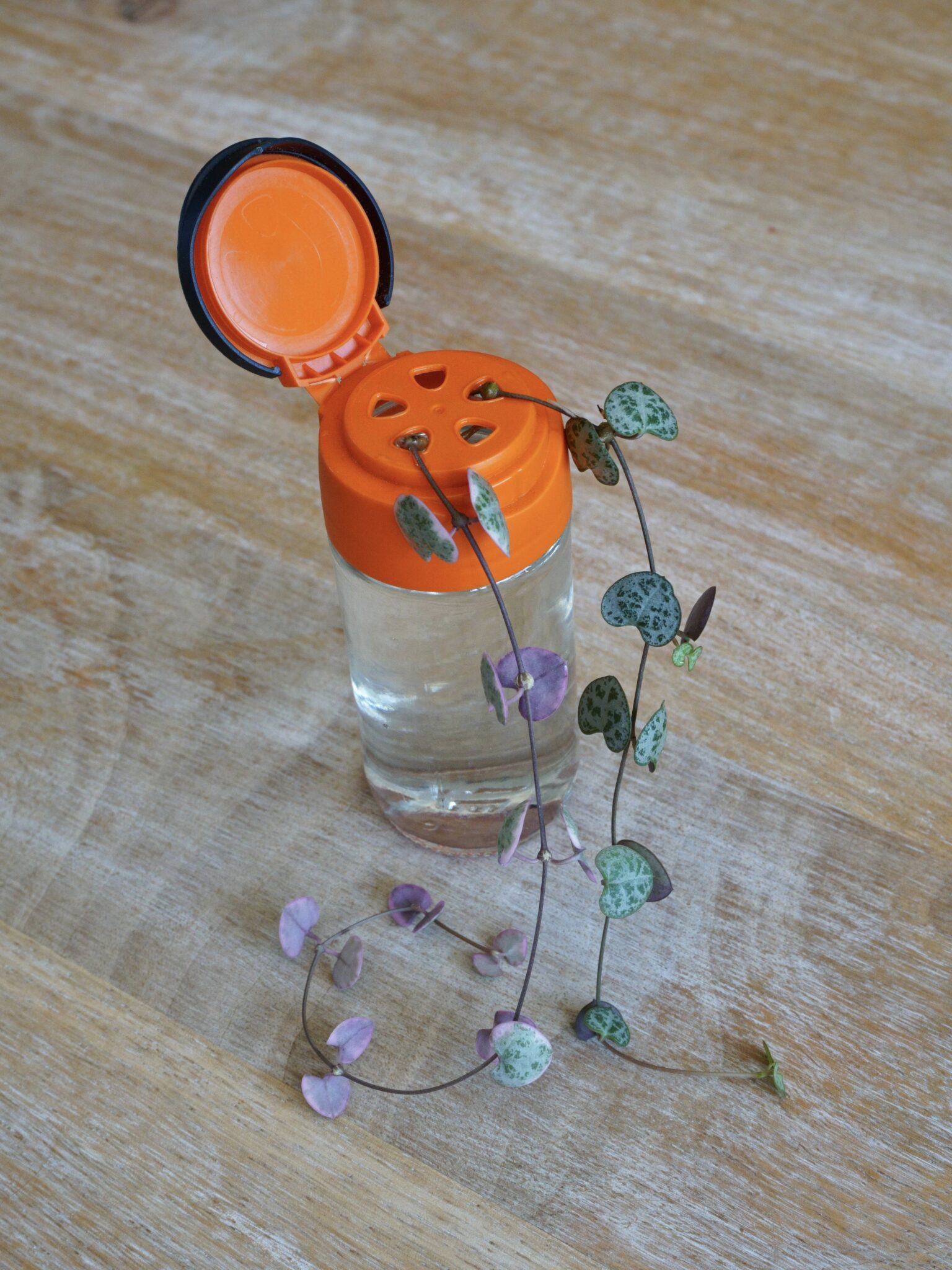 DIY – Créer une bobèche 100% récup’ – Troque Ta Plante – Le Blog