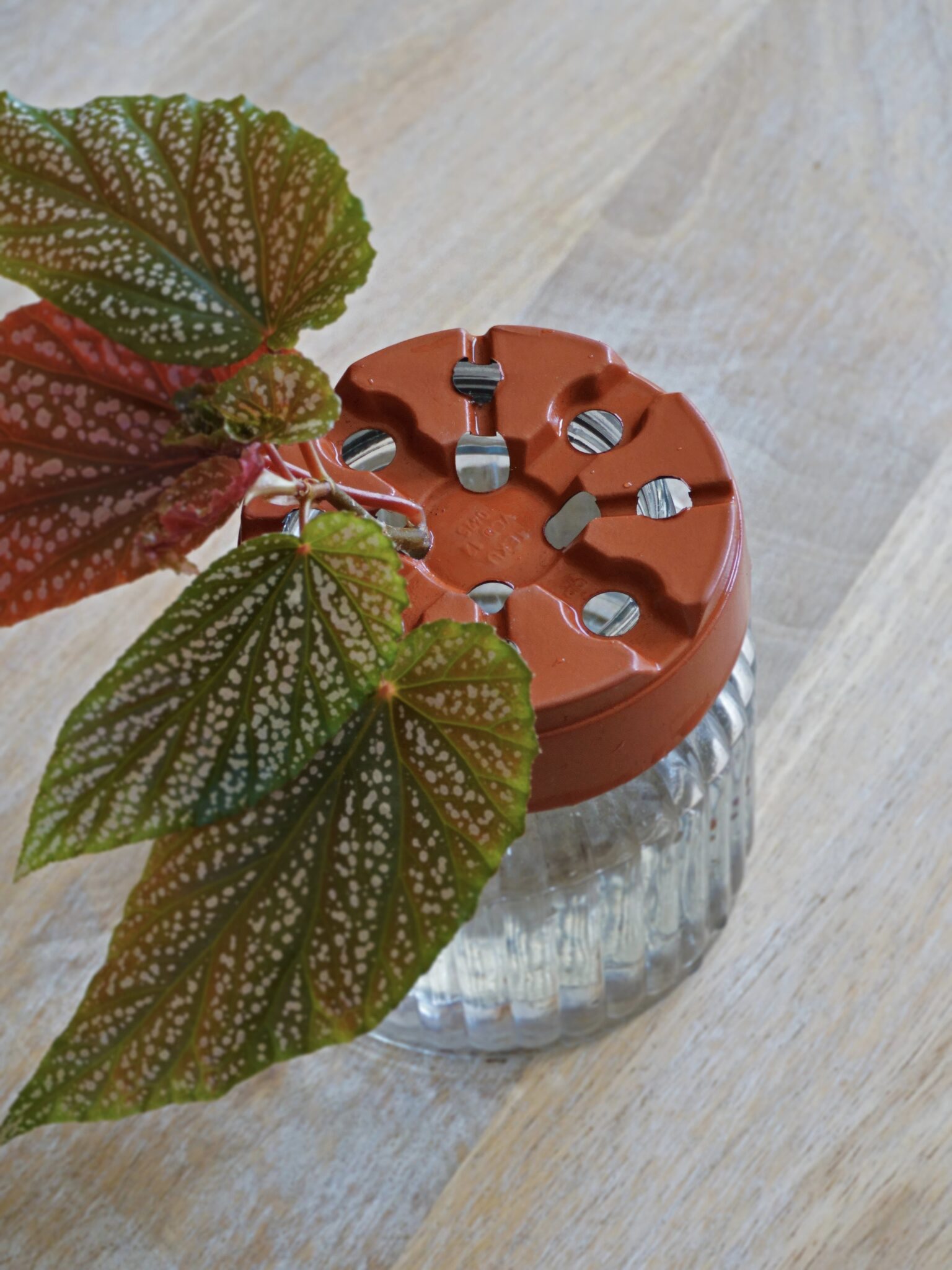 DIY – Créer une bobèche 100% récup’ – Troque Ta Plante – Le Blog