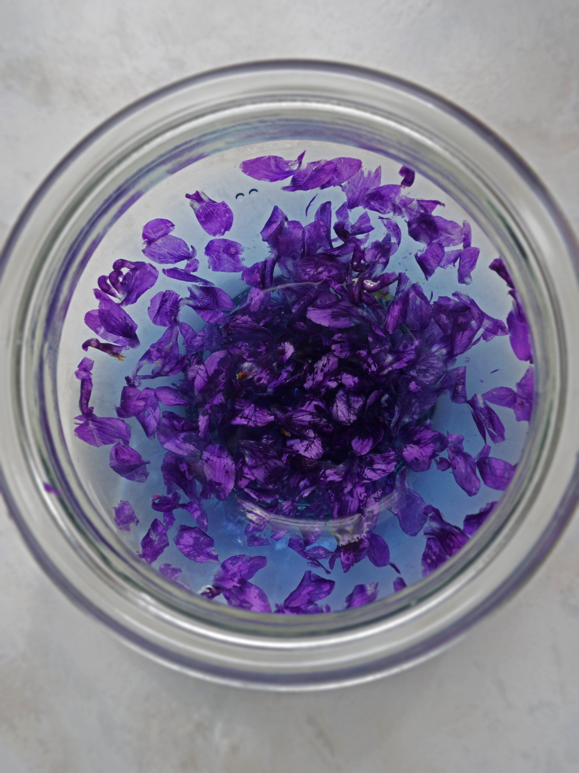 Recette de sirop de violettes – Troque Ta Plante – Le Blog