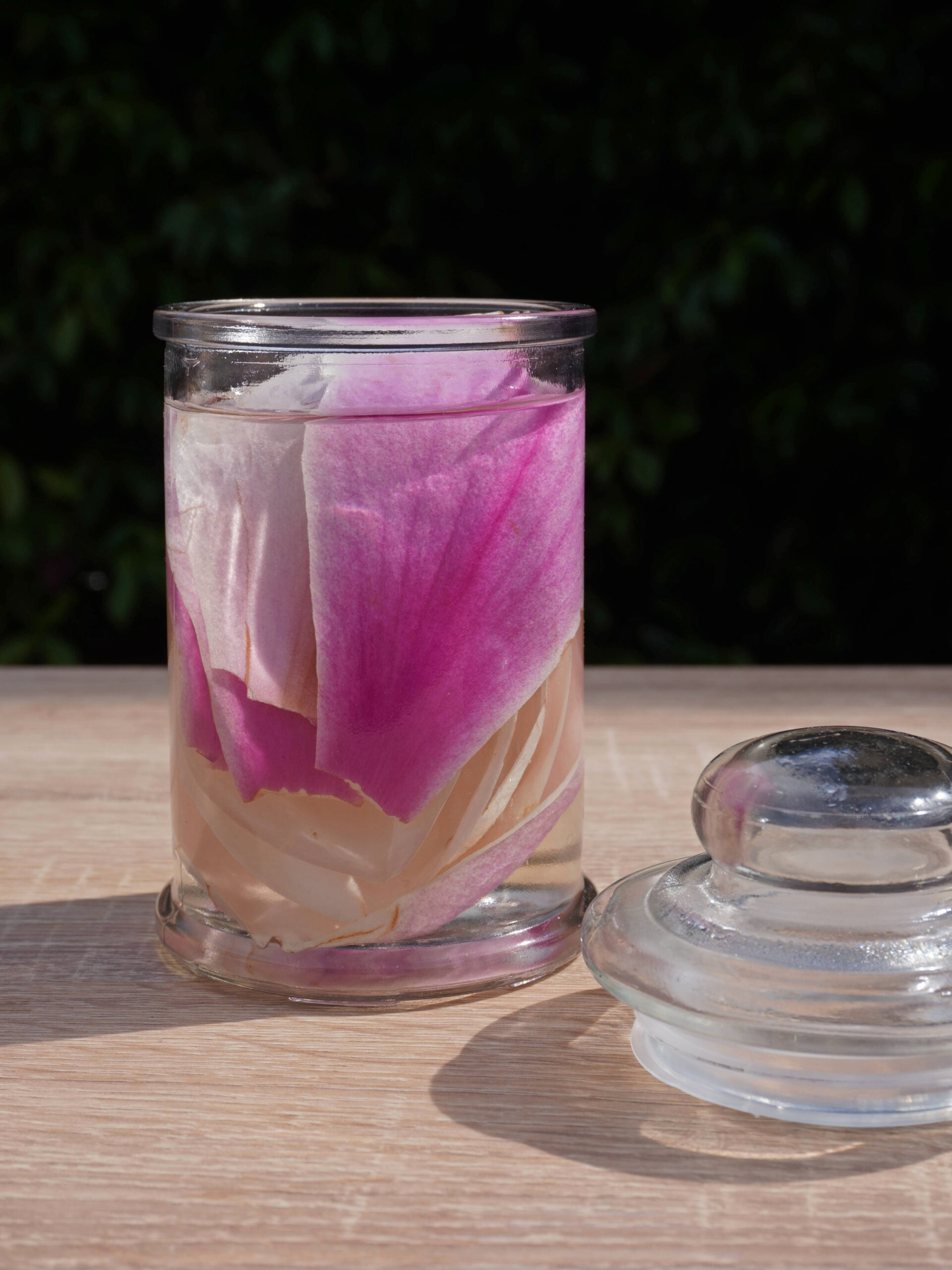 Recette de pickles de fleurs de magnolia – Troque Ta Plante – Le Blog